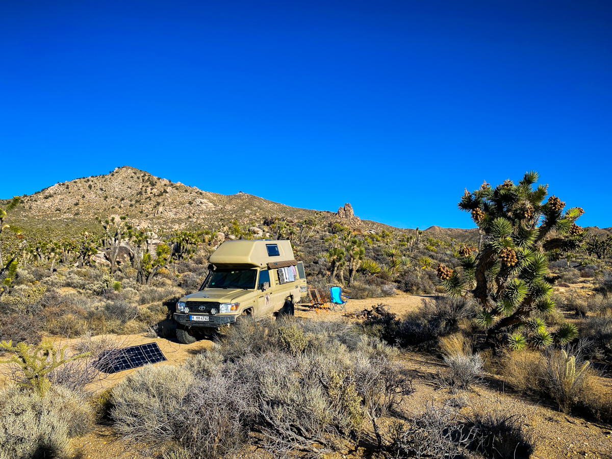 USA/California – The Mojave Desert - WildlifeMoments.de